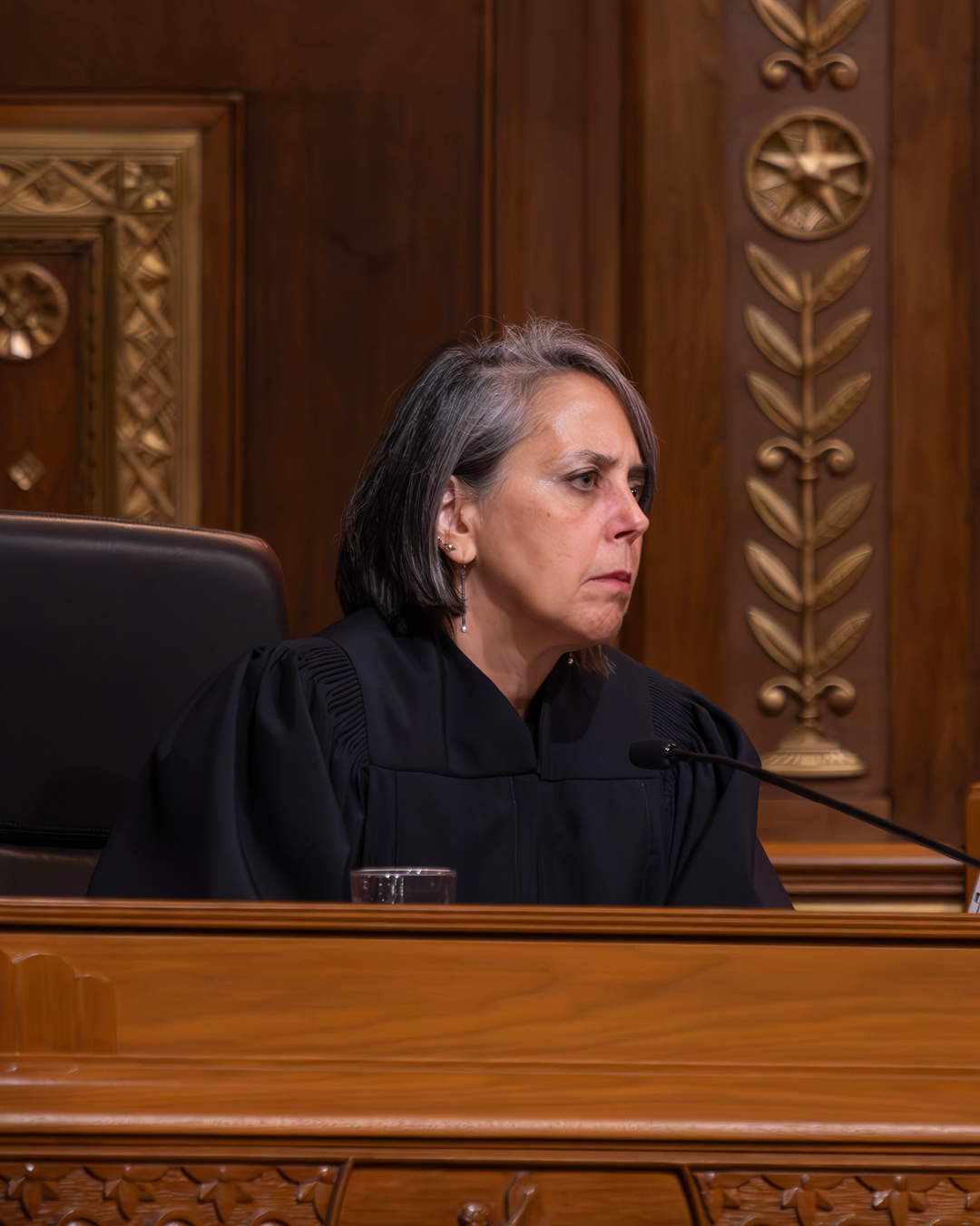 Judge Examines Law’s Intricacies from Capitol Hill to Supreme Court