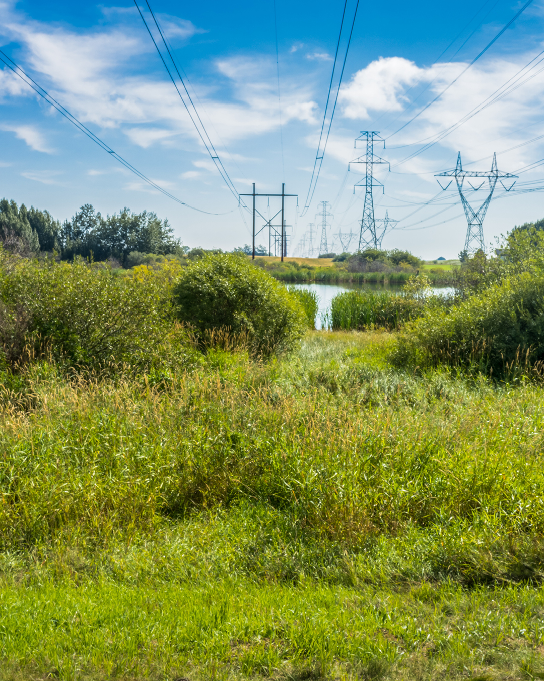 Dispute Over Power Lines Centers on Lack of Comma in 1948 Document
