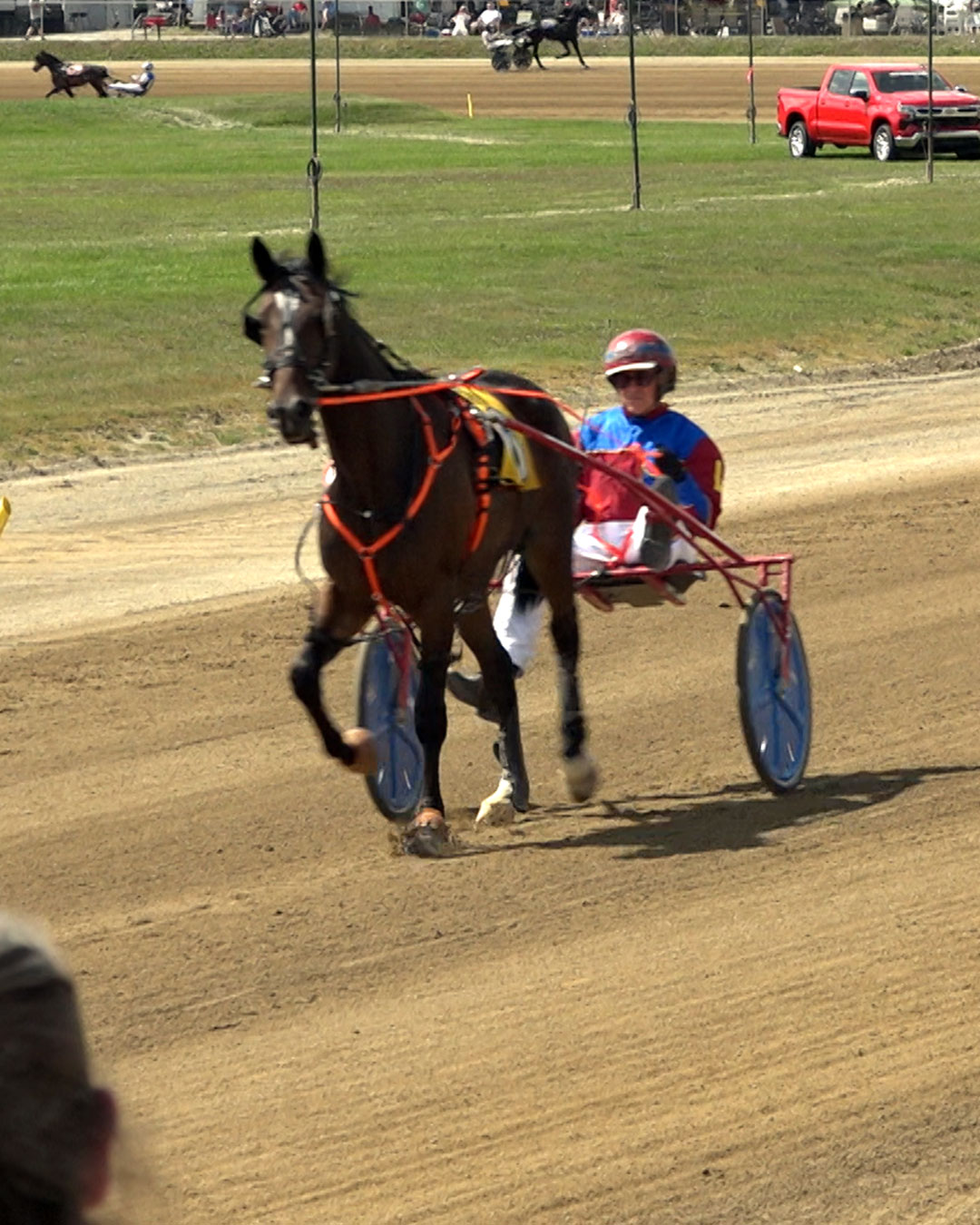 Judge Balances Passions of Law and Horse Racing